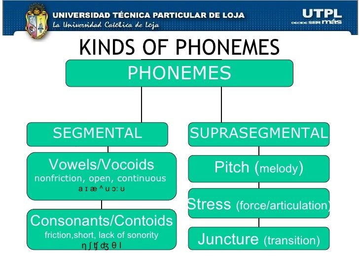Phonology