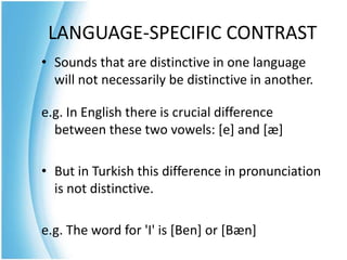 Phonology | PPTX
