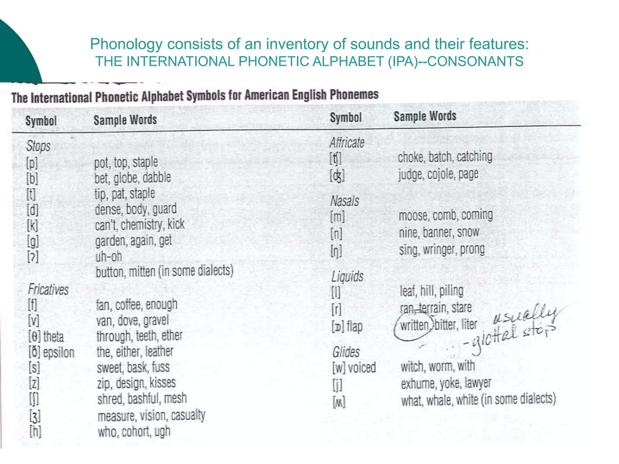 What is Phonology? | PPTX