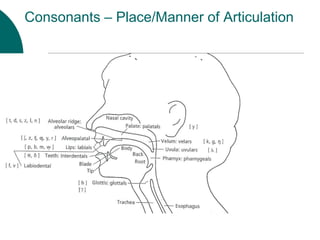 What is Phonology? | PPTX