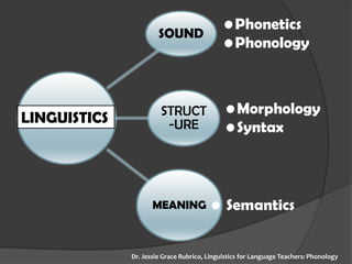 Phonology | PDF
