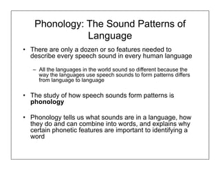 phonology.ppt.pdf