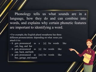 PHONOLOGY.pptx