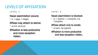 PHONOLOGY - Definition and Components.pptx