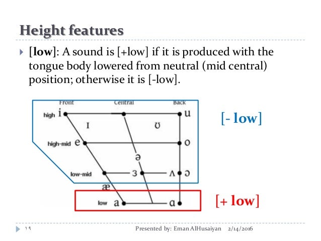 Phonology phonological features of english vowels