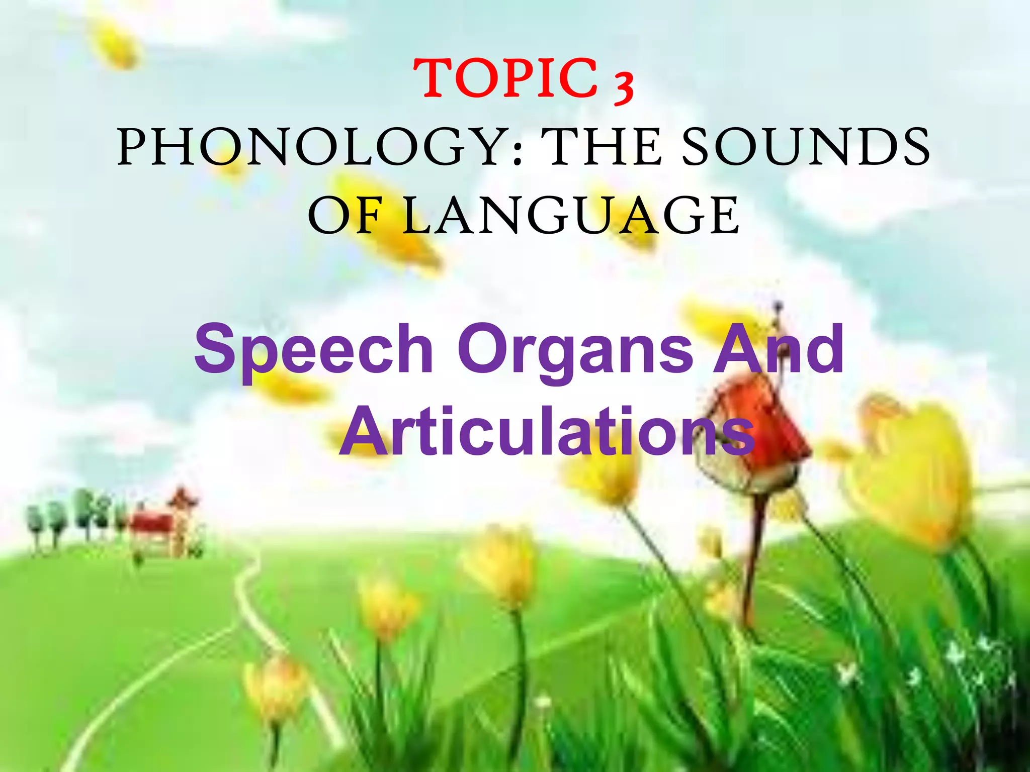 Phonology.speech organs and articulation | PPTX