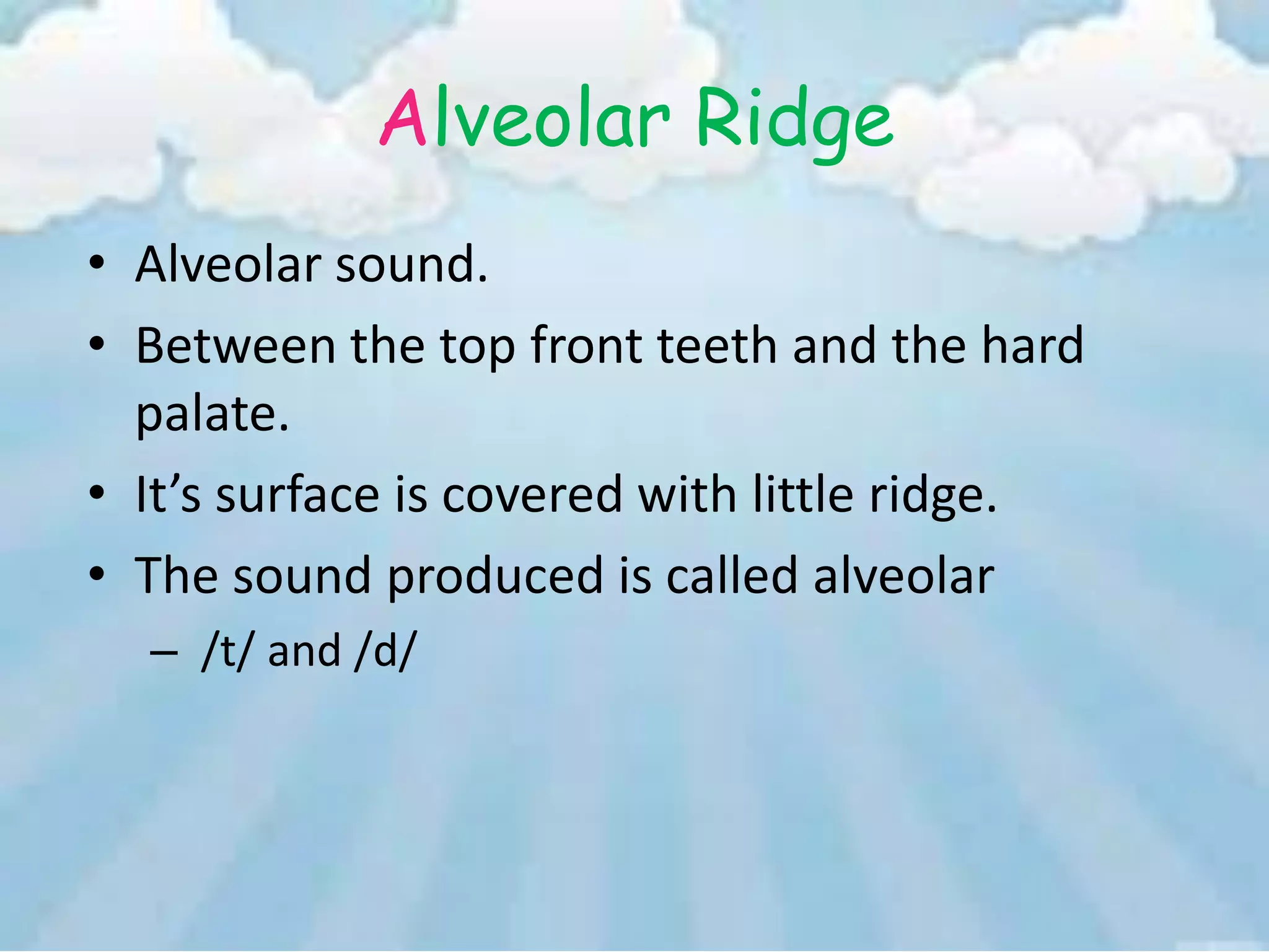 Phonology.speech organs and articulation | PPTX