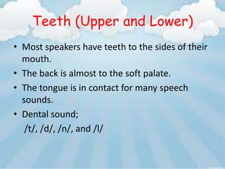 Phonology.speech organs and articulation | PPTX