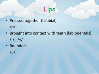 Phonology.speech organs and articulation | PPTX