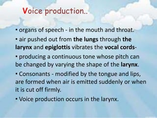 Phonology.speech organs and articulation | PPTX