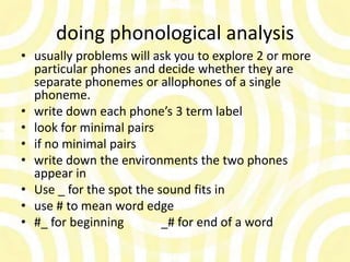 Phonology 3 | PPT