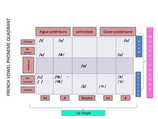 Phonology contrastive por Estefanny Trelles | PPT