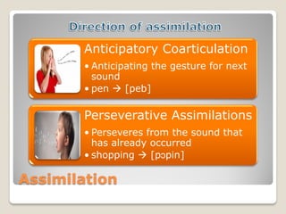 Consonant Clusters, Assimilation, and Metathesis | PDF