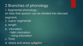 phonology and phonemics awareness lecture | PDF