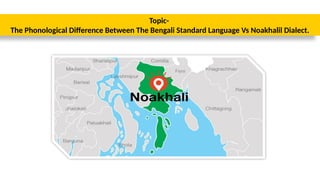 The Phonological Difference Between The Bengali Standard Language Vs ...