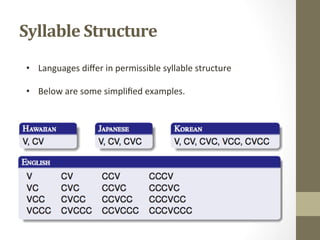 Phonology: Phones, Syllables & Phonotactics | PDF