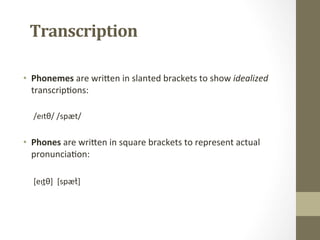 Phonology: Phones, Syllables & Phonotactics | PDF