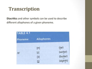 Phonology: Phones, Syllables & Phonotactics | PDF