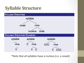 Phonology: Phones, Syllables & Phonotactics | PDF