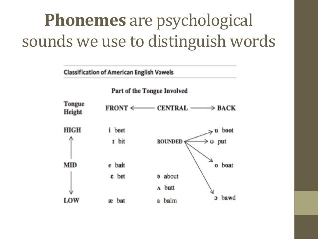 Phonology: Phones, Syllables & Phonotactics