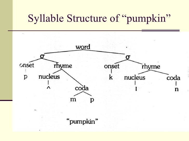 Syllable Structure Examples Processes