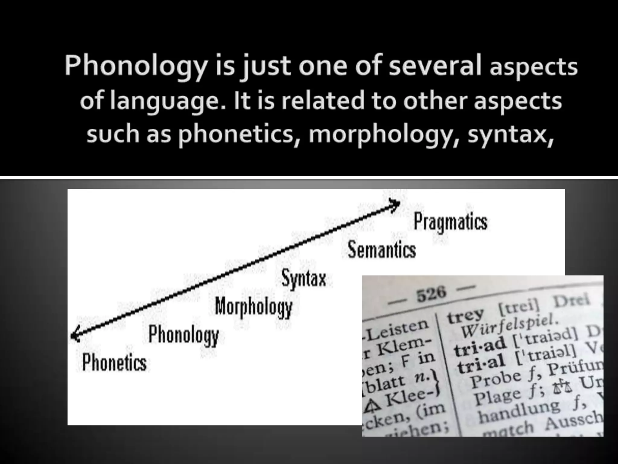 Phonology vs phonetics | PPTX