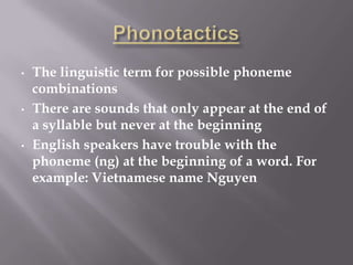 Phonotactics | PPTX