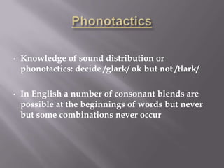 Phonotactics | PPTX