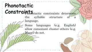 Phonotactics and IPA.pptx