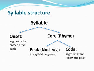 Phonotactics and syllables | PPT