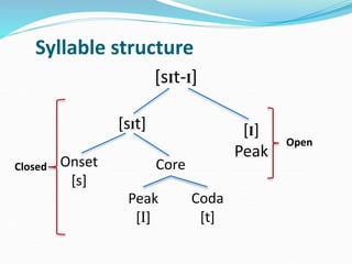 Phonotactics and syllables | PPT