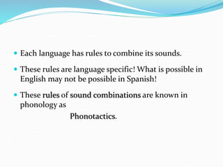 Phonotactics and syllables | PPT