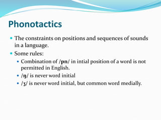 Phonotactics and syllables | PPT