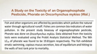 Phorate : database | PPT