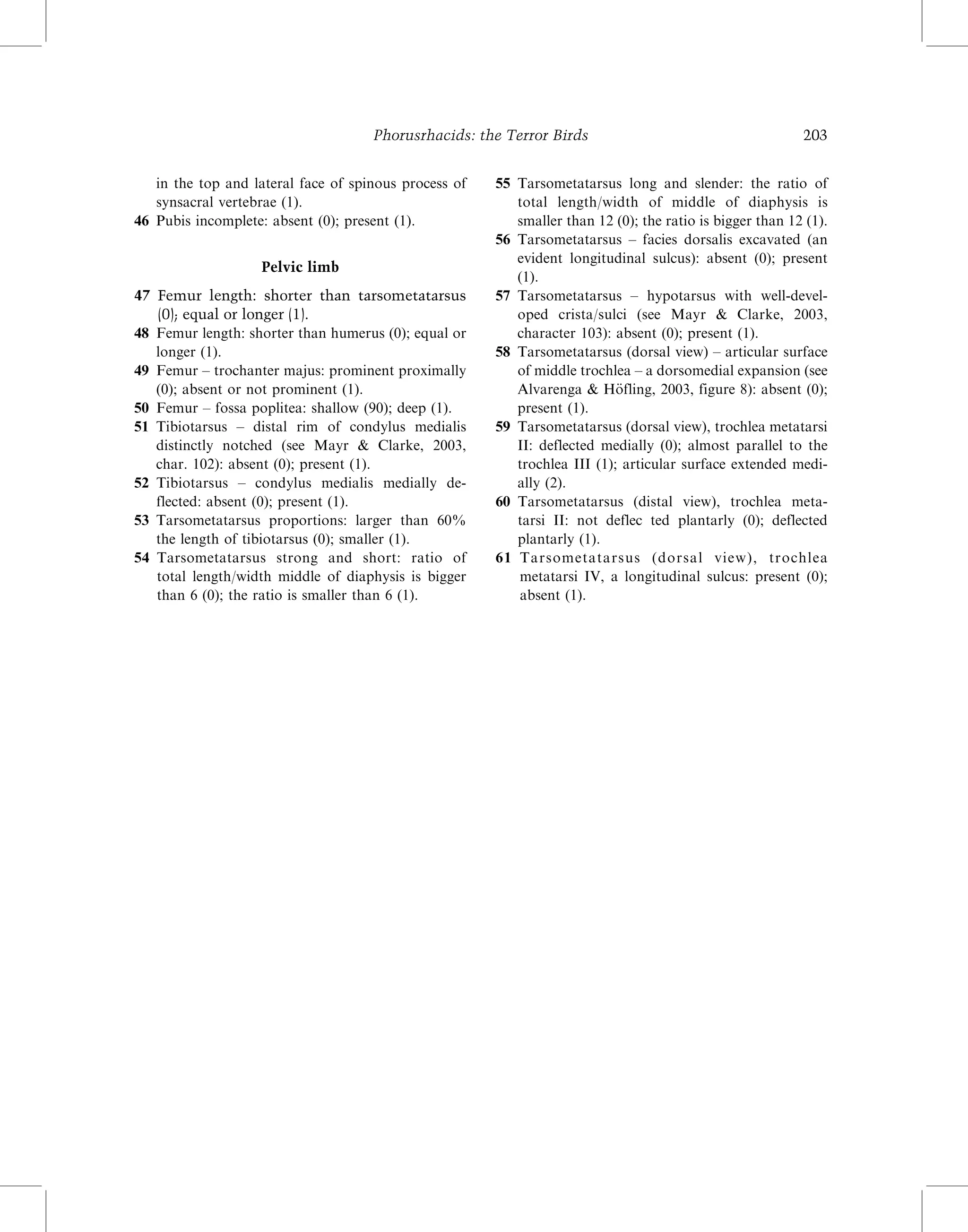 Phorusrhacids the terror birds | PDF