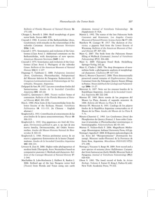 Phorusrhacids the terror birds | PDF