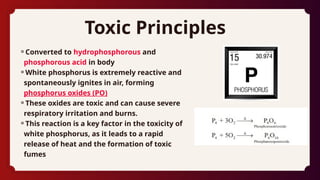 phosphorus poisoning PowerPoint presentation | PPTX