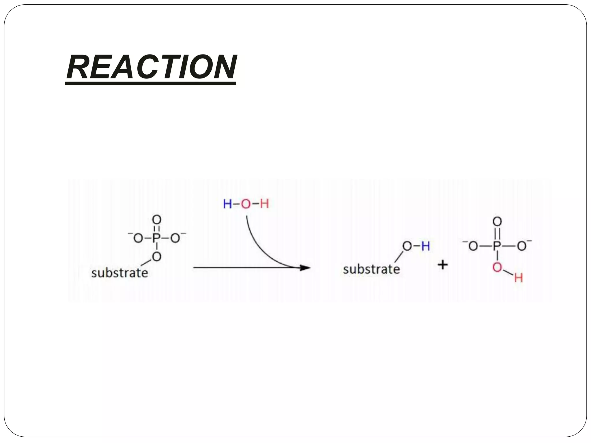 Phosphatase Pptx