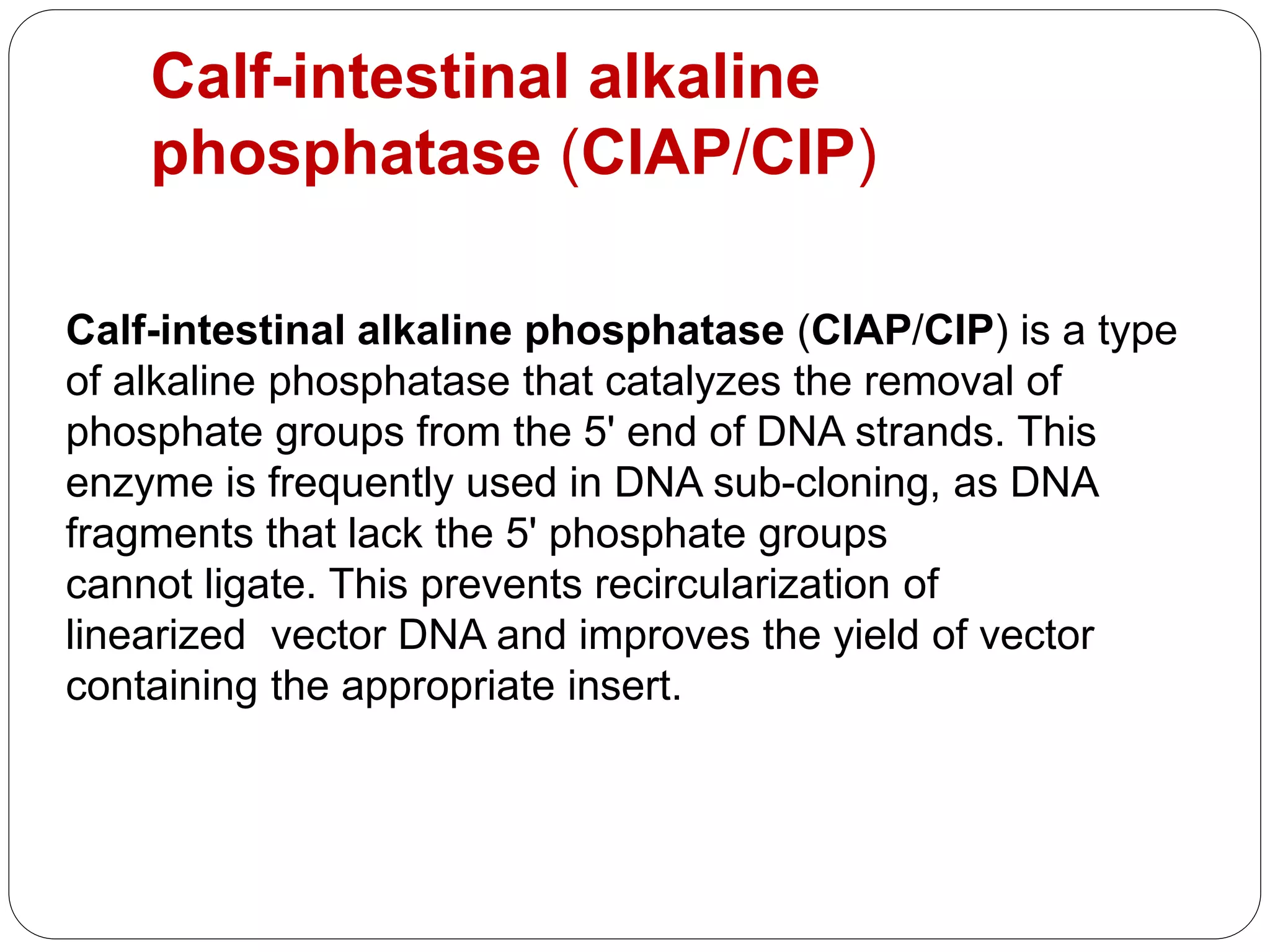Phosphatase | PPTX