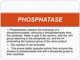 Phosphatase | PPTX