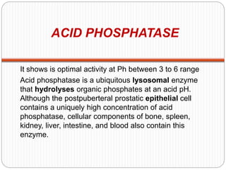 Phosphatase | PPTX
