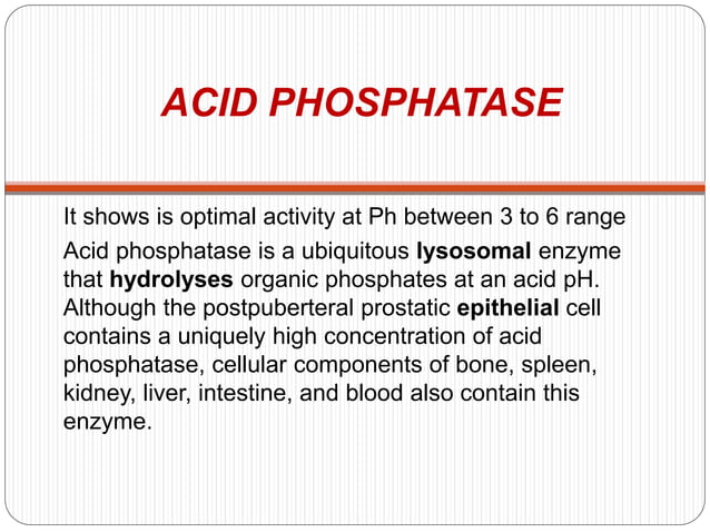 Phosphatase | PPTX | Biological Sciences | Science