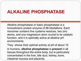 Phosphatase | PPTX