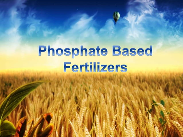 Phosphate based fertilizers | PPTX | Chemistry | Science