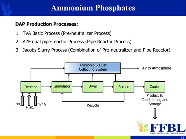 Phosphate based fertilizers | PPTX | Chemistry | Science