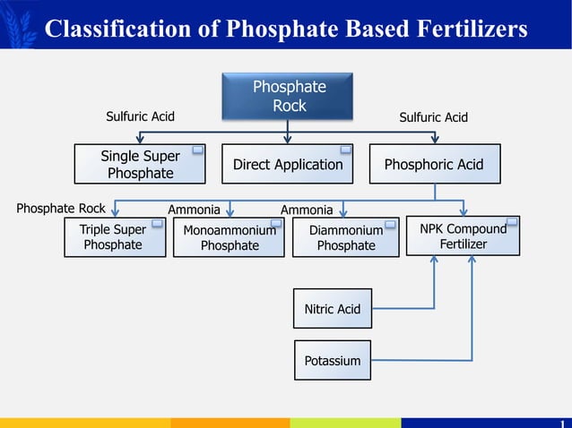 Phosphate based fertilizers | PPTX | Chemistry | Science