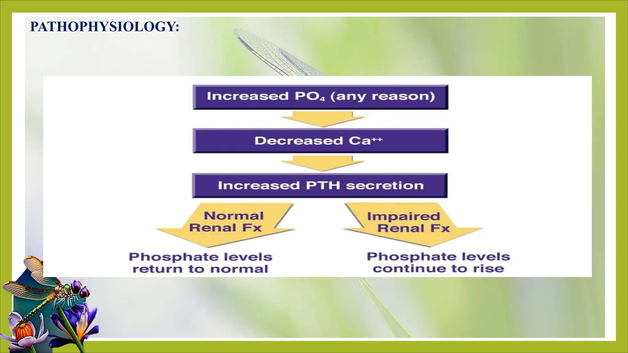 PHOSPHATE – ELECTROLYTE IMBALANCE (HYPOPHOSPHATEMIA & HYPERPHOSPHATEMIA ...