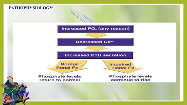 PHOSPHATE – ELECTROLYTE IMBALANCE (HYPOPHOSPHATEMIA & HYPERPHOSPHATEMIA ...