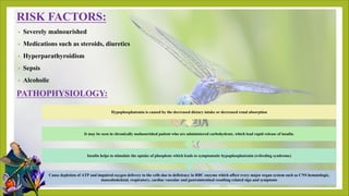 PHOSPHATE – ELECTROLYTE IMBALANCE (HYPOPHOSPHATEMIA & HYPERPHOSPHATEMIA ...