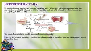 PHOSPHATE – ELECTROLYTE IMBALANCE (HYPOPHOSPHATEMIA & HYPERPHOSPHATEMIA ...